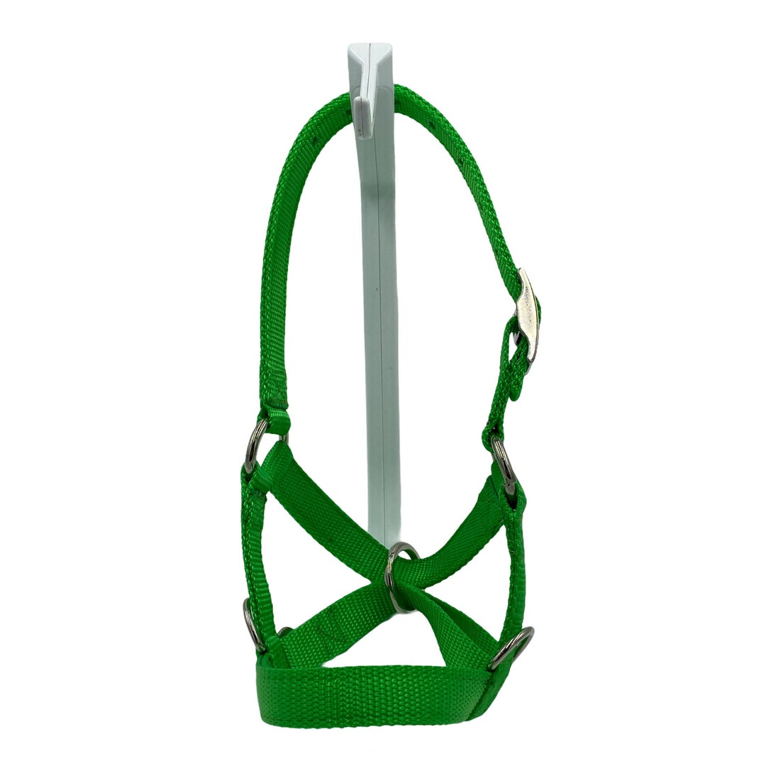 Goat Driving Halter Nice Color Heavy Duty Handmade USA - Etsy