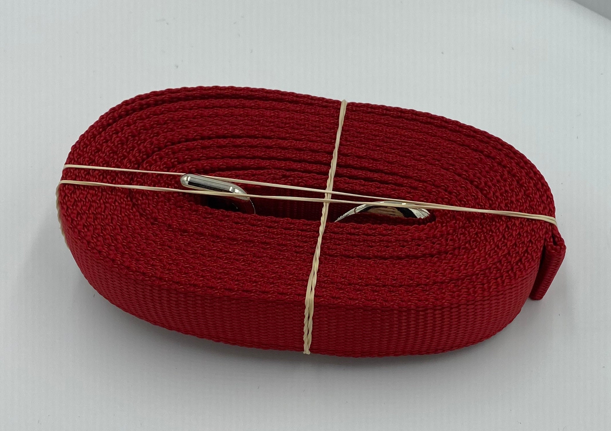 10 Ft Dog Leash Strong 2 Ply Webbing USA Hand Made - Etsy