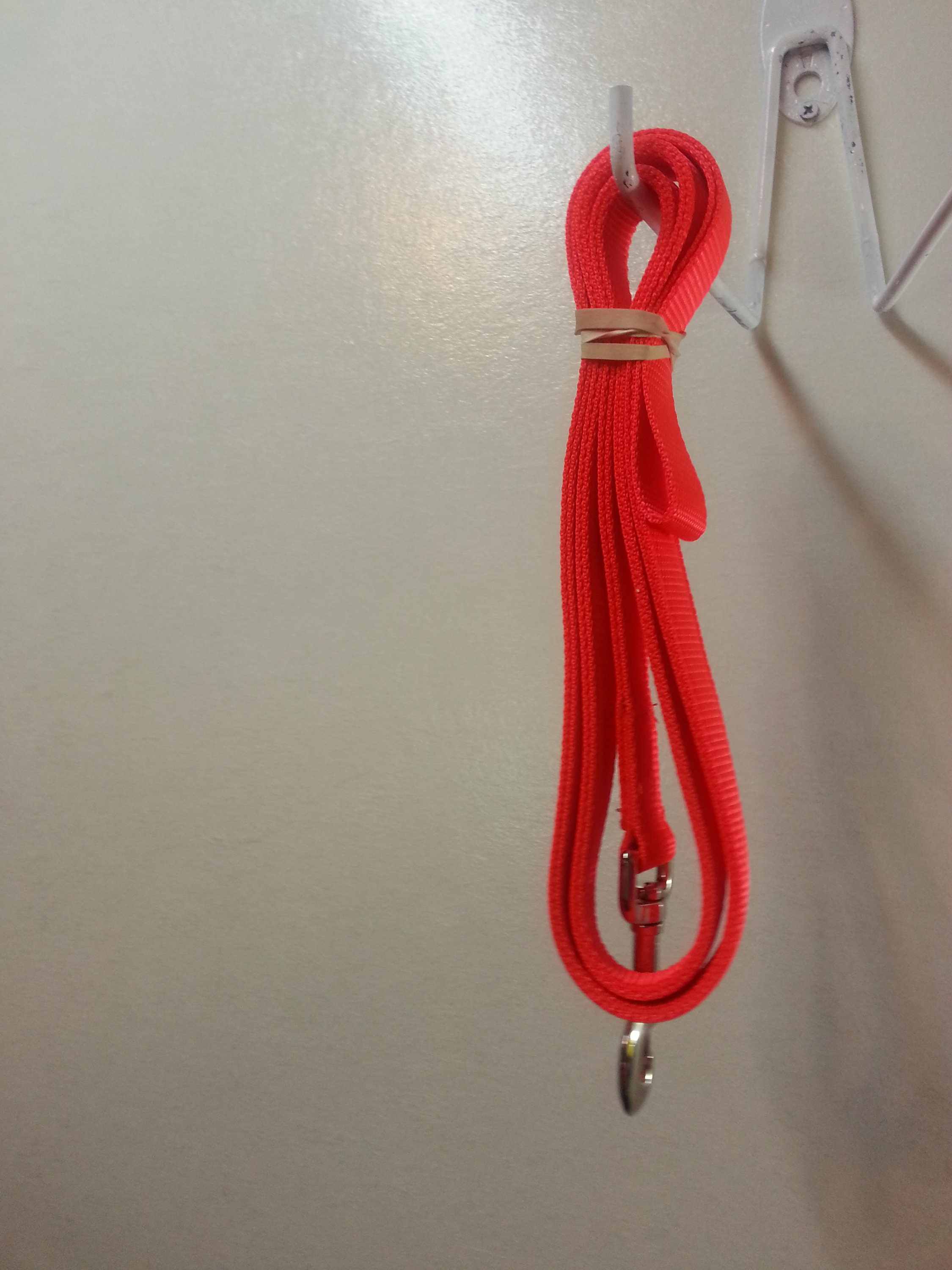 10 Ft Dog Leash Strong 2 Ply Webbing USA Hand Made - Etsy