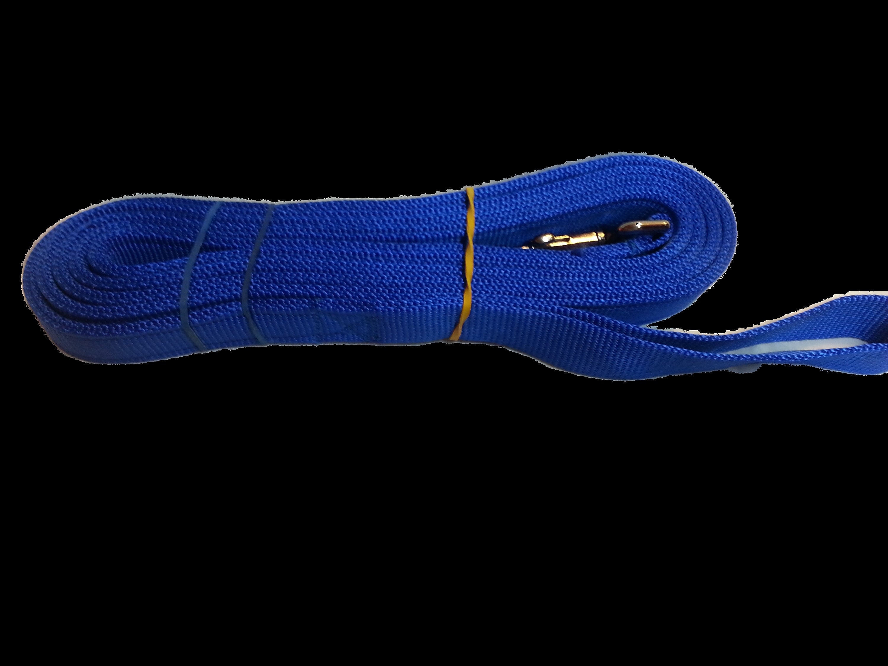 10 Ft Dog Leash Strong 2 Ply Webbing USA Hand Made - Etsy