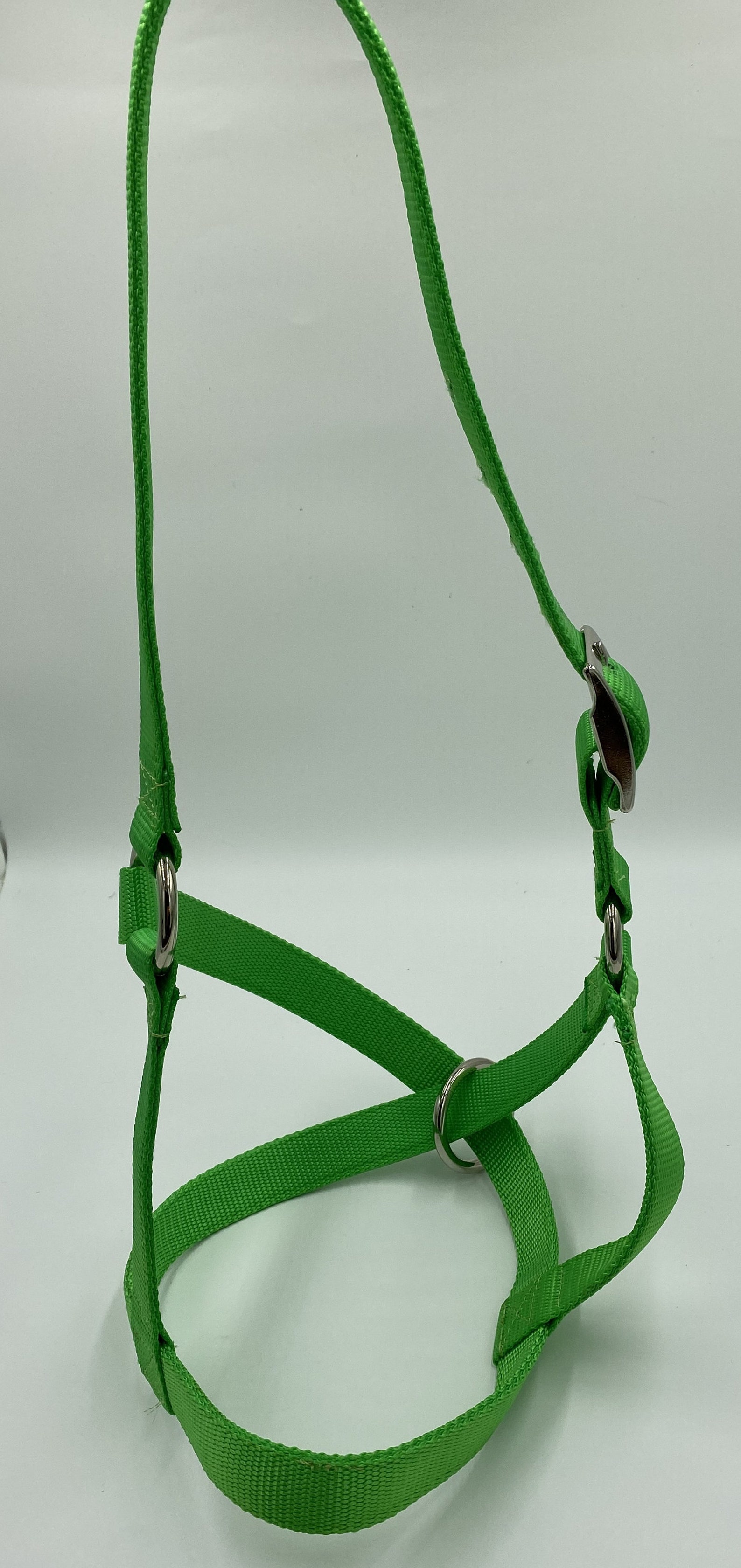 Cattle Halters Newborn Calf Yearling Cow and Bull - Etsy