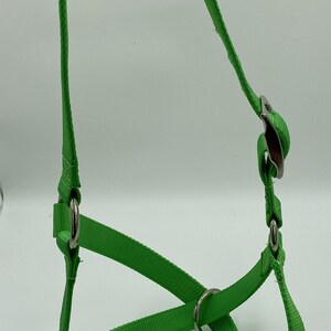 Cattle Halters Newborn Calf Yearling Cow and Bull - Etsy
