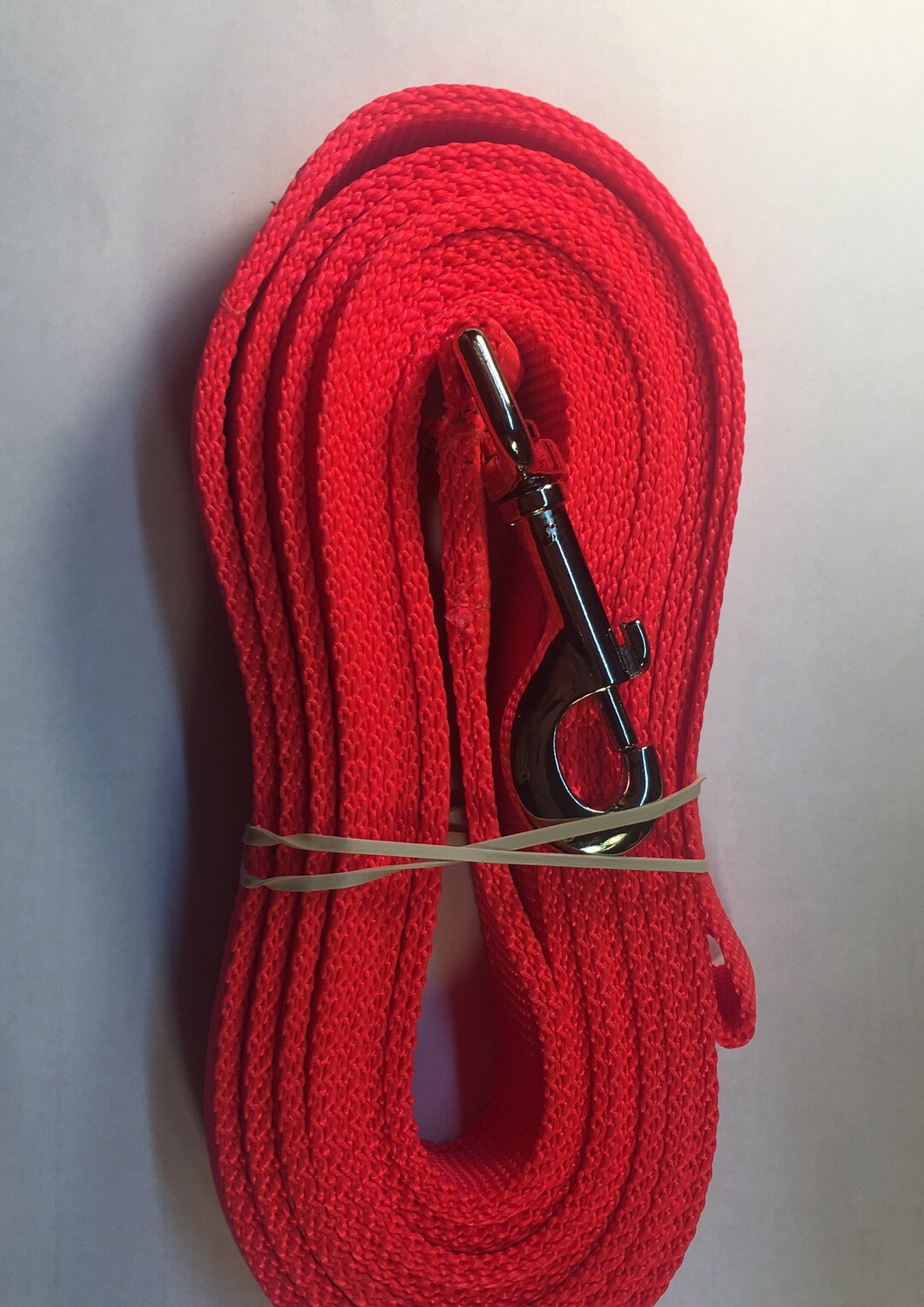 10 Ft Dog Leash Strong 2 Ply Webbing USA Hand Made - Etsy