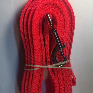 10 Ft Dog Leash Strong 2 Ply Webbing USA Hand Made - Etsy