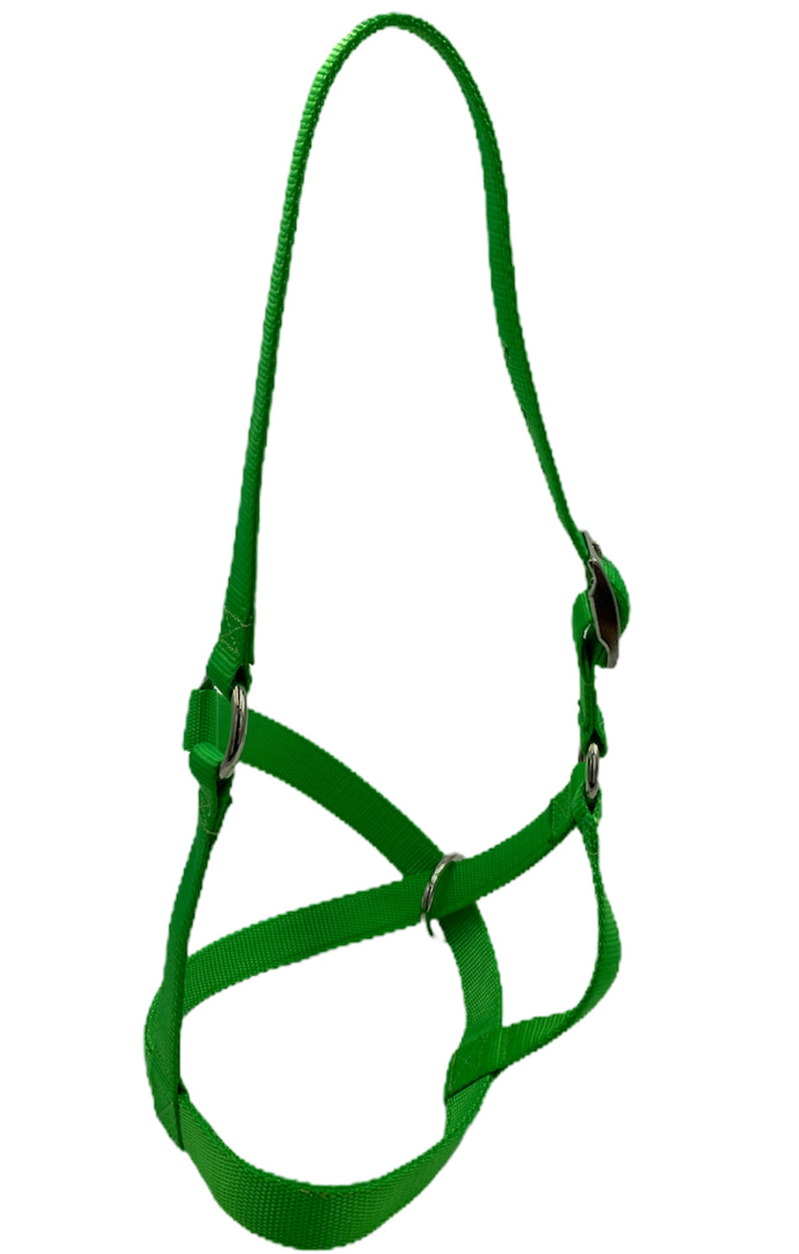 Cattle Halters Newborn Calf Yearling Cow and Bull - Etsy