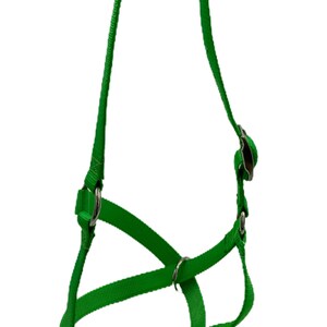 Cattle Halters Newborn Calf Yearling Cow and Bull - Etsy