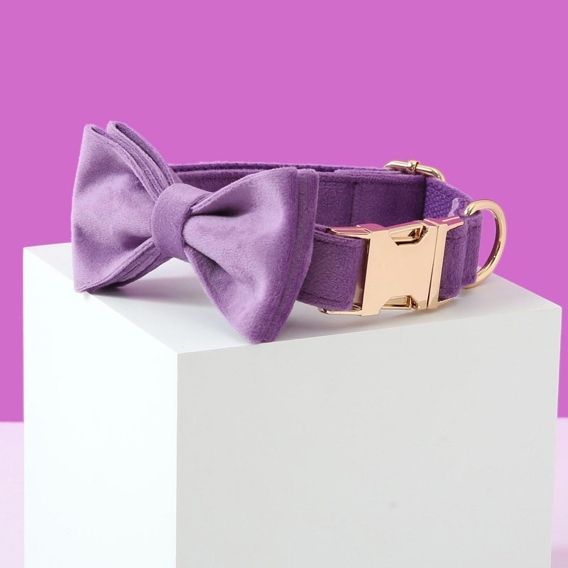 Purple Dog Collar - Etsy