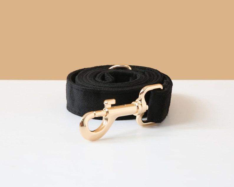 Black Velvet Dog Collar and Leash With Personalised Name, Wedding Dog ...