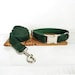 Green Dog Velvet Collar, Boy Collar Custom Dog Collar, Personalized Dog ...
