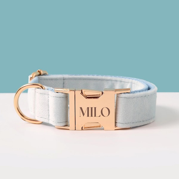 Dog Collar Light Blue With Name - Etsy