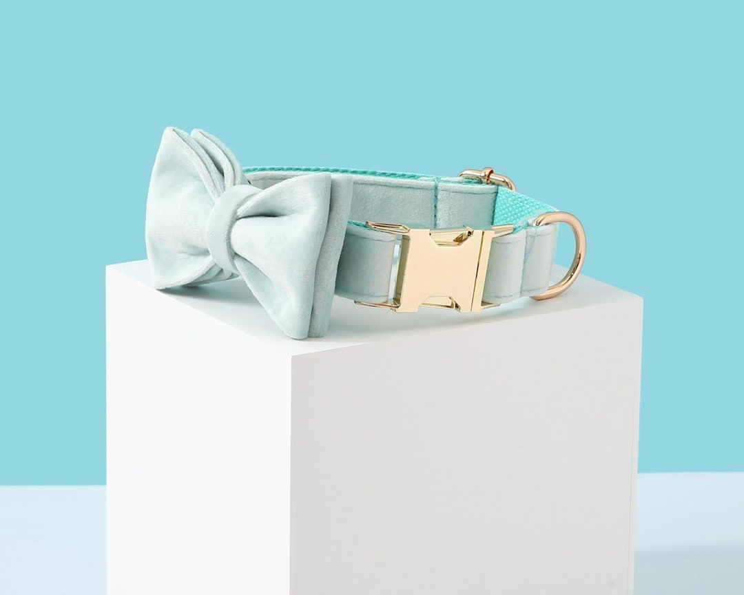 Personalized Aqua Blue Dog Collar Bow, Dog Collar and Lead,custom ...