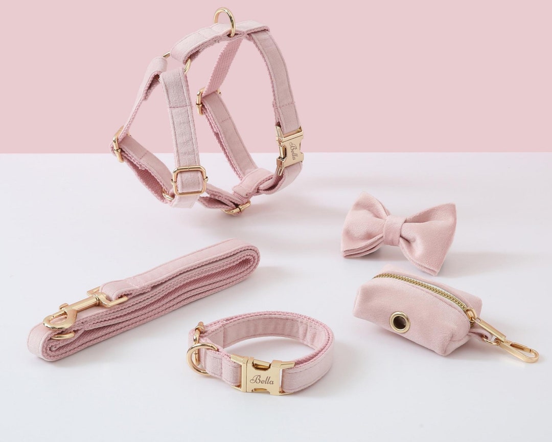 Personalized Dog Harness and Leash Set, Baby Pink Custom Velvet Harness ...