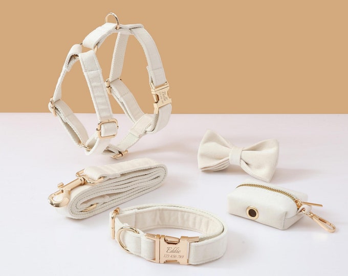 White Velvet Personalised Harness With Gold Hardware,fancy Velvet ...