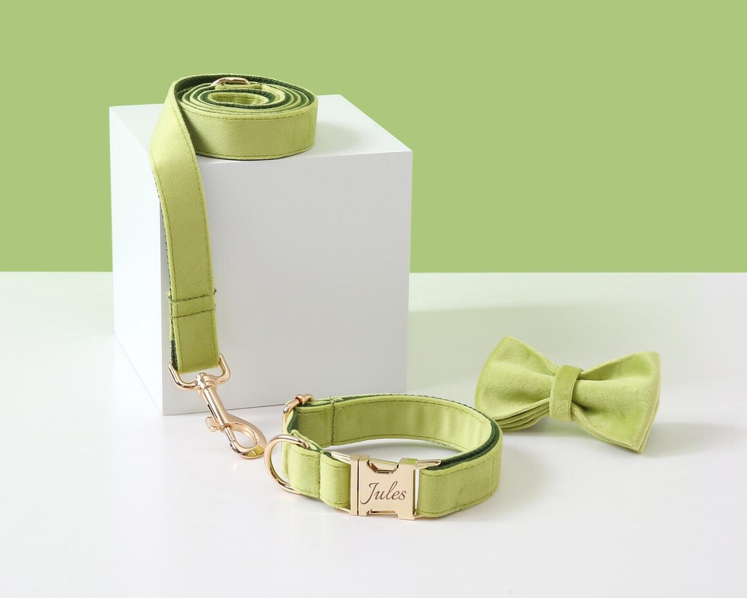 Lime Green Velvet Dog Collar Bow Set, Personalized Nameplate Collar and ...