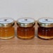 Homemade Jam Sampler Set of Three Mini Jams or Marmalades - Etsy