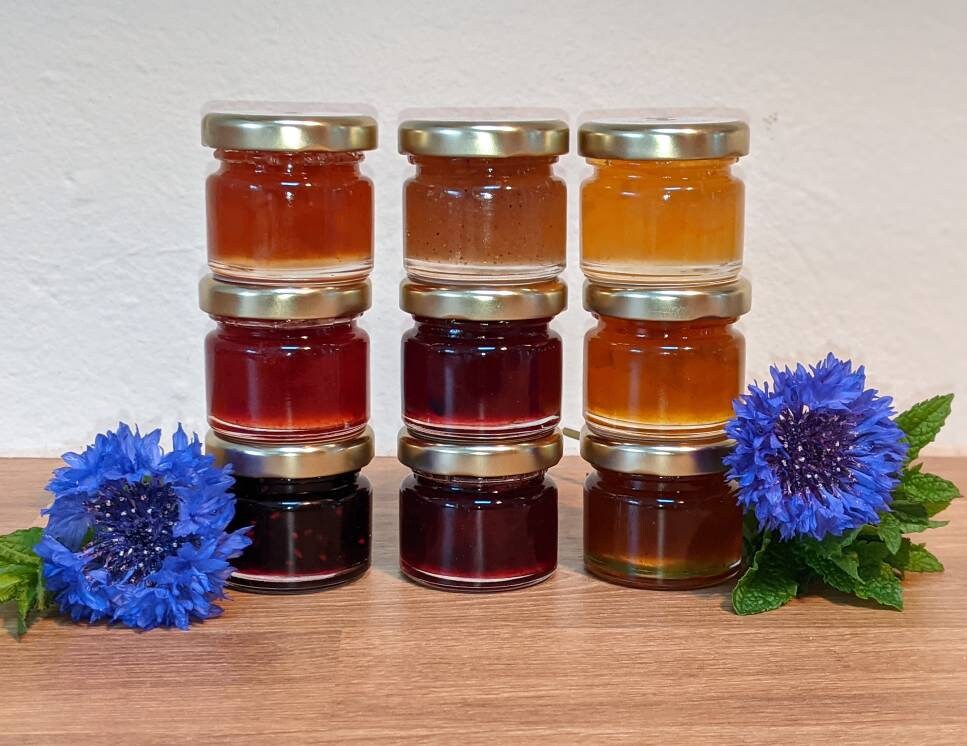 Homemade Jam Sampler Set of Three Mini Jams or Marmalades - Etsy