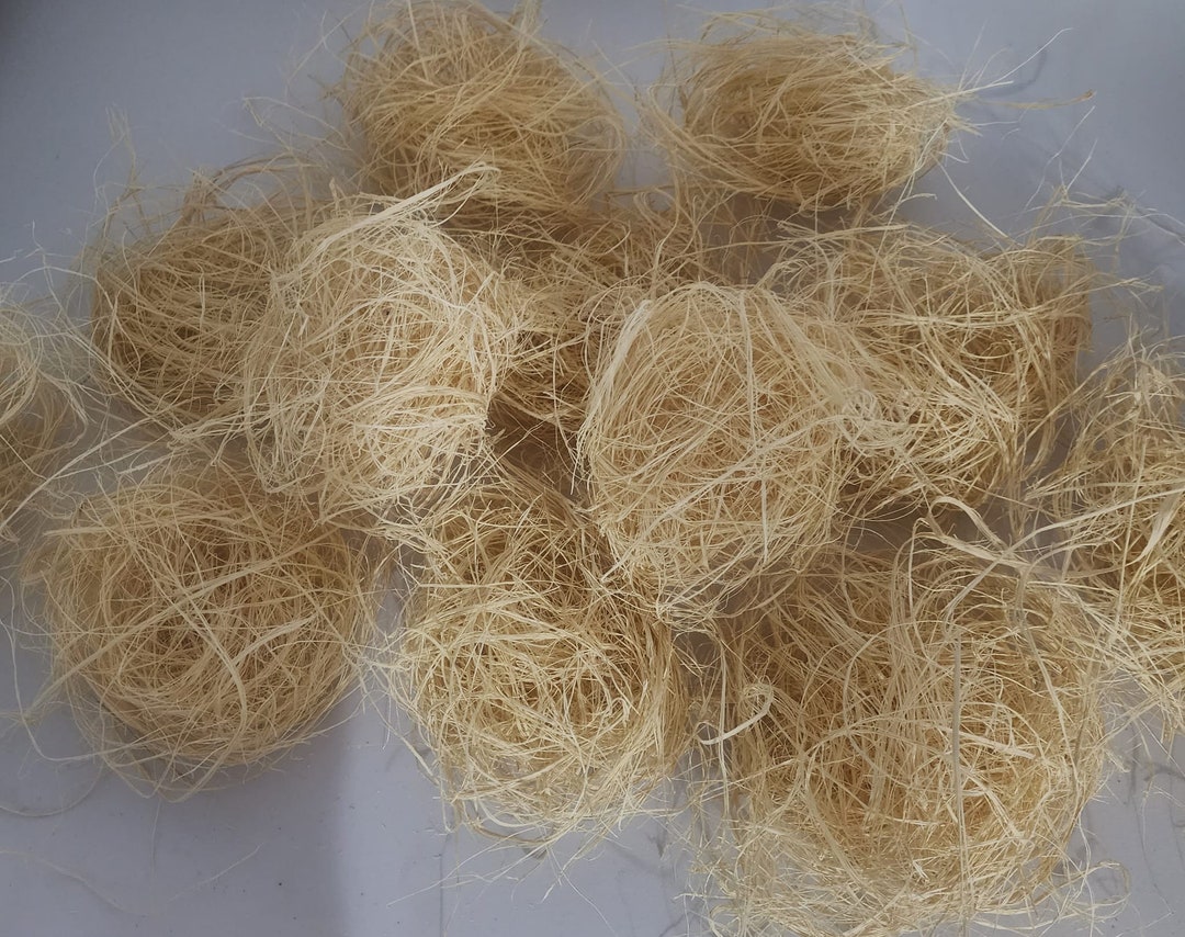 Organic African Sponge (3 in 1pack) - Etsy