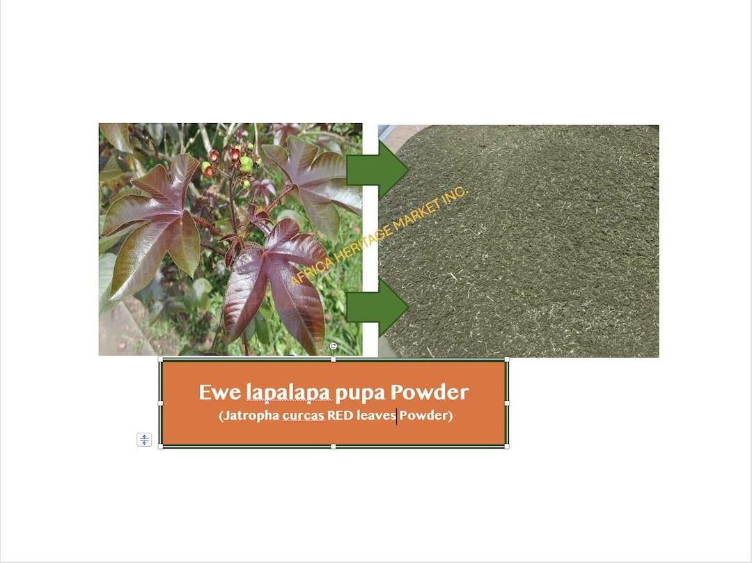 Ewe Lapalapa Pupa Powder (jatropha curcas RED Leaves Powder) - Etsy