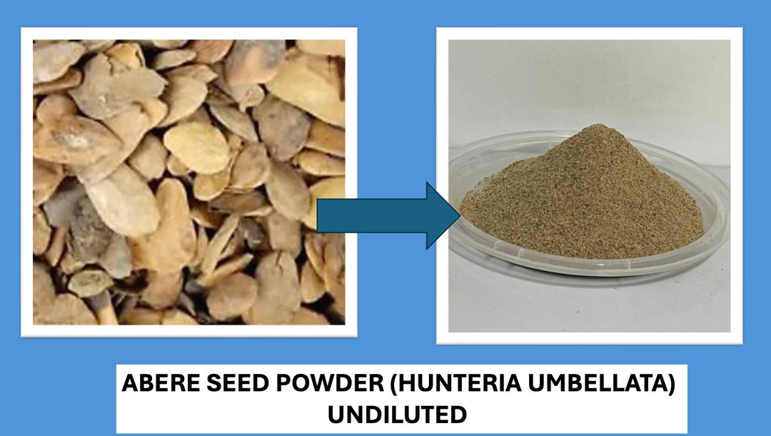 Abere Seed Powder hunteria Umbellata - Etsy