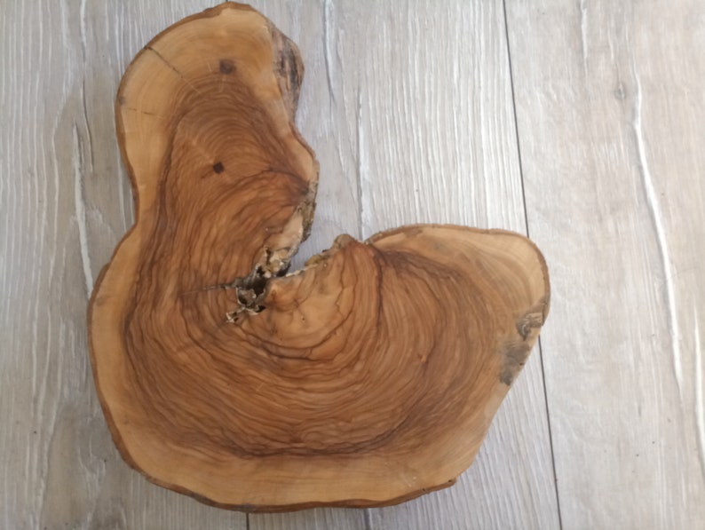 Wood Slice Art, Wood Slice Art for Decor, Olive Wood Slide, Coster ...
