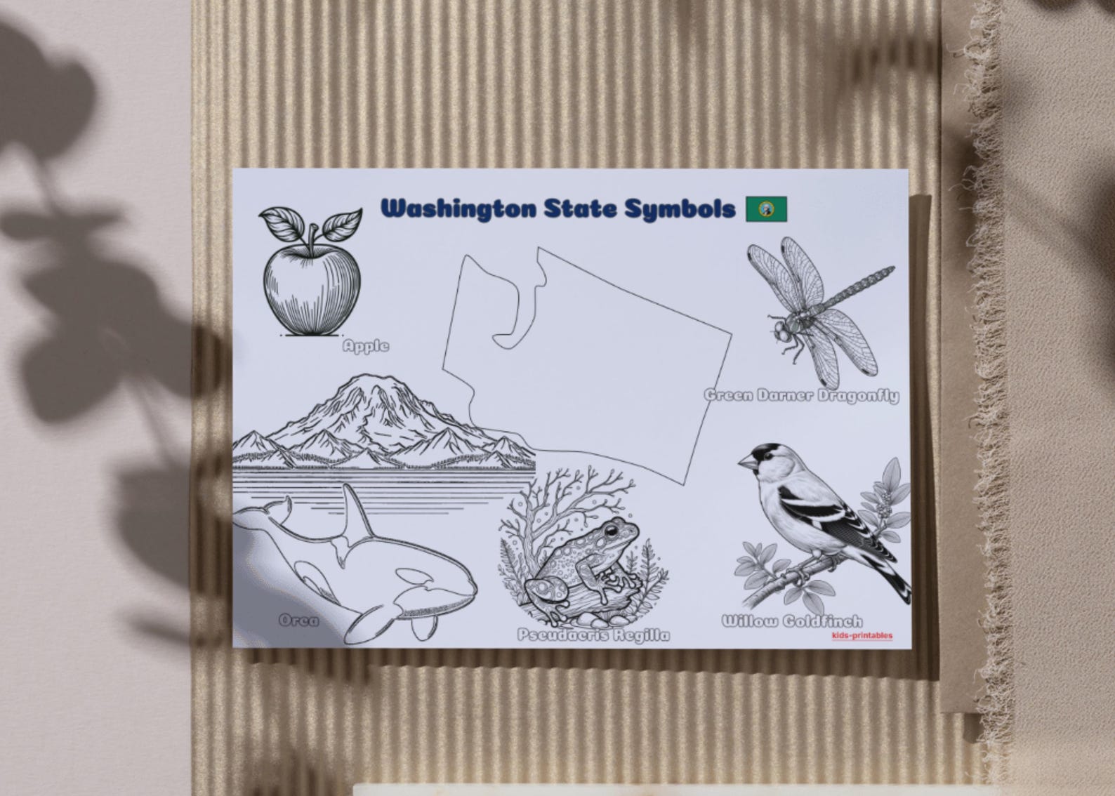 Washington State Symbols Art Print | Washington State Coloring Page ...