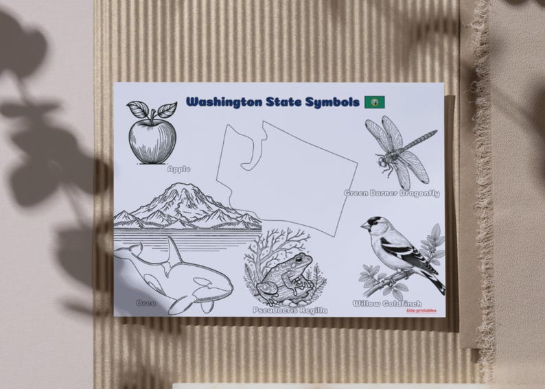Washington State Symbols Art Print | Washington State Coloring Page ...