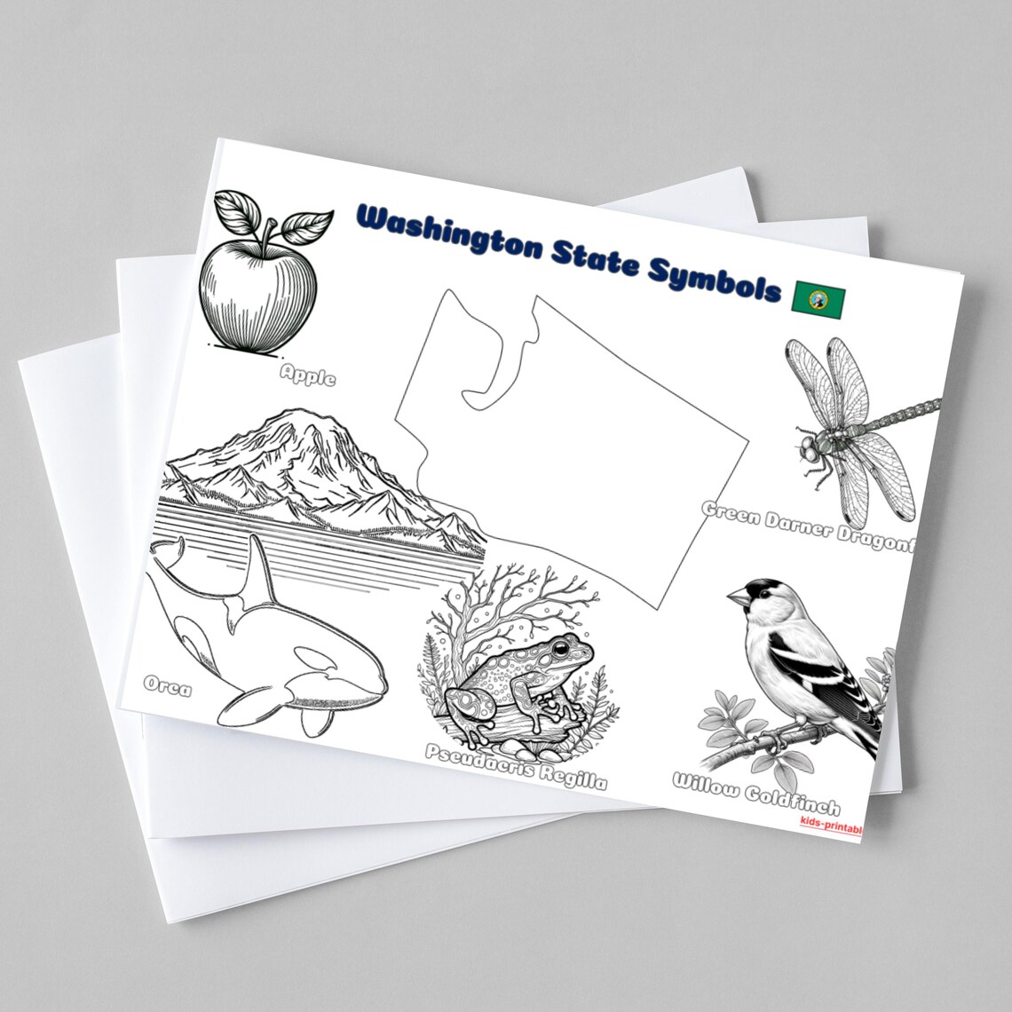 Washington State Symbols Art Print | Washington State Coloring Page ...