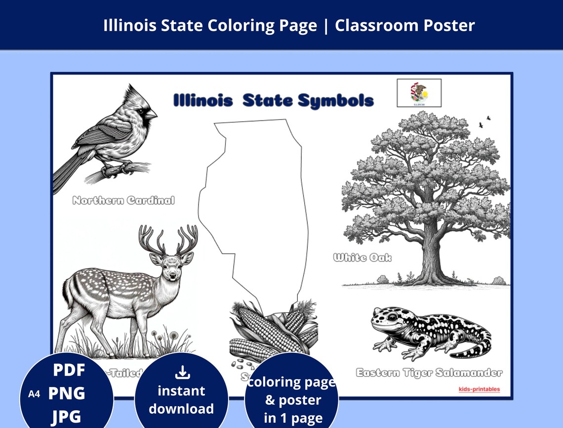 Illinois Coloring Page| United States Coloring Pages | Illinois State ...