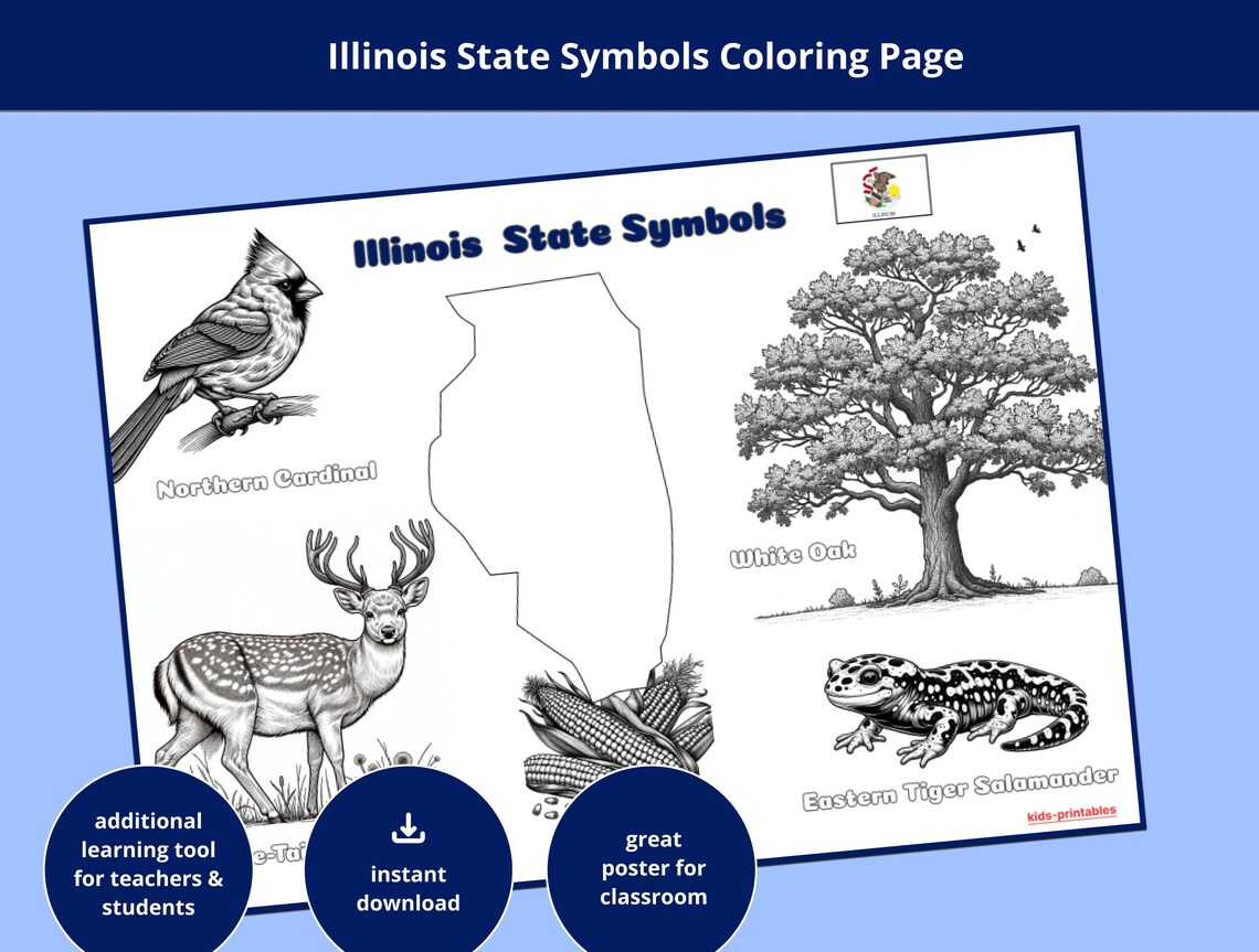 Illinois Coloring Page| United States Coloring Pages | Illinois State ...