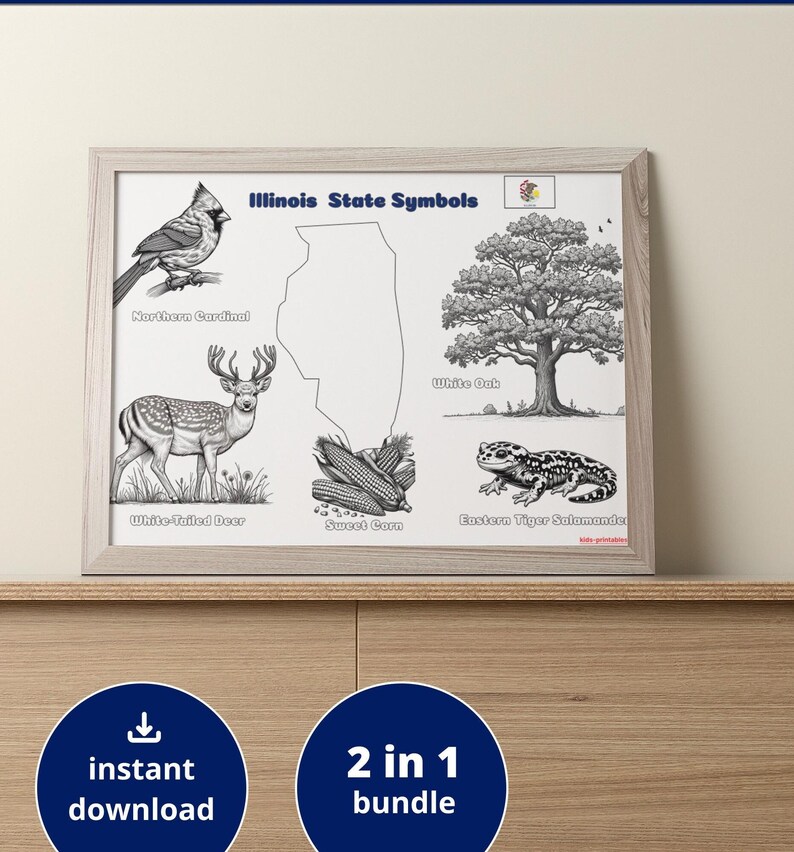 Illinois Coloring Page| United States Coloring Pages | Illinois State ...