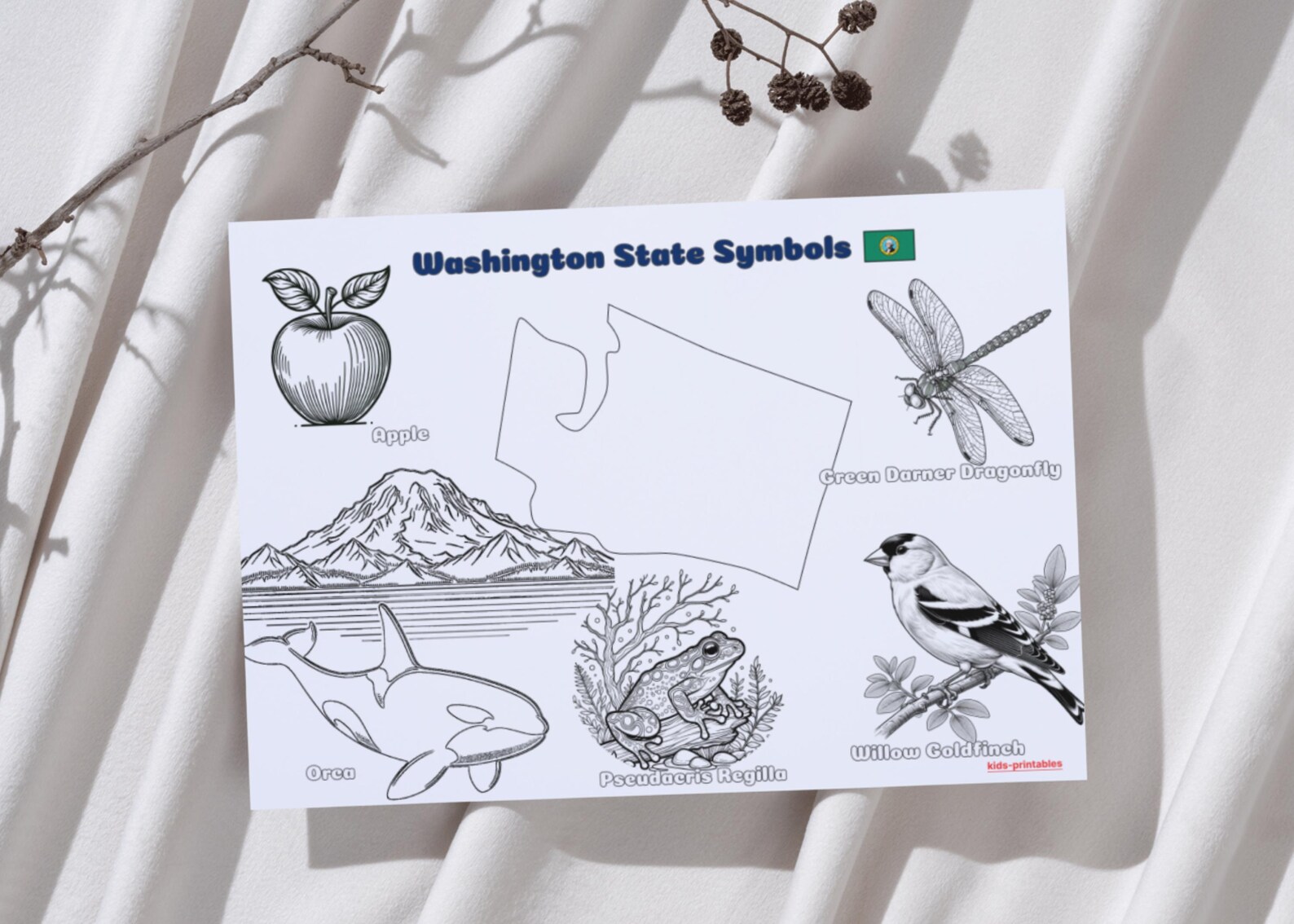 Washington State Symbols Art Print | Washington State Coloring Page ...