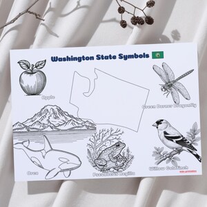 Washington State Symbols Art Print | Washington State Coloring Page ...