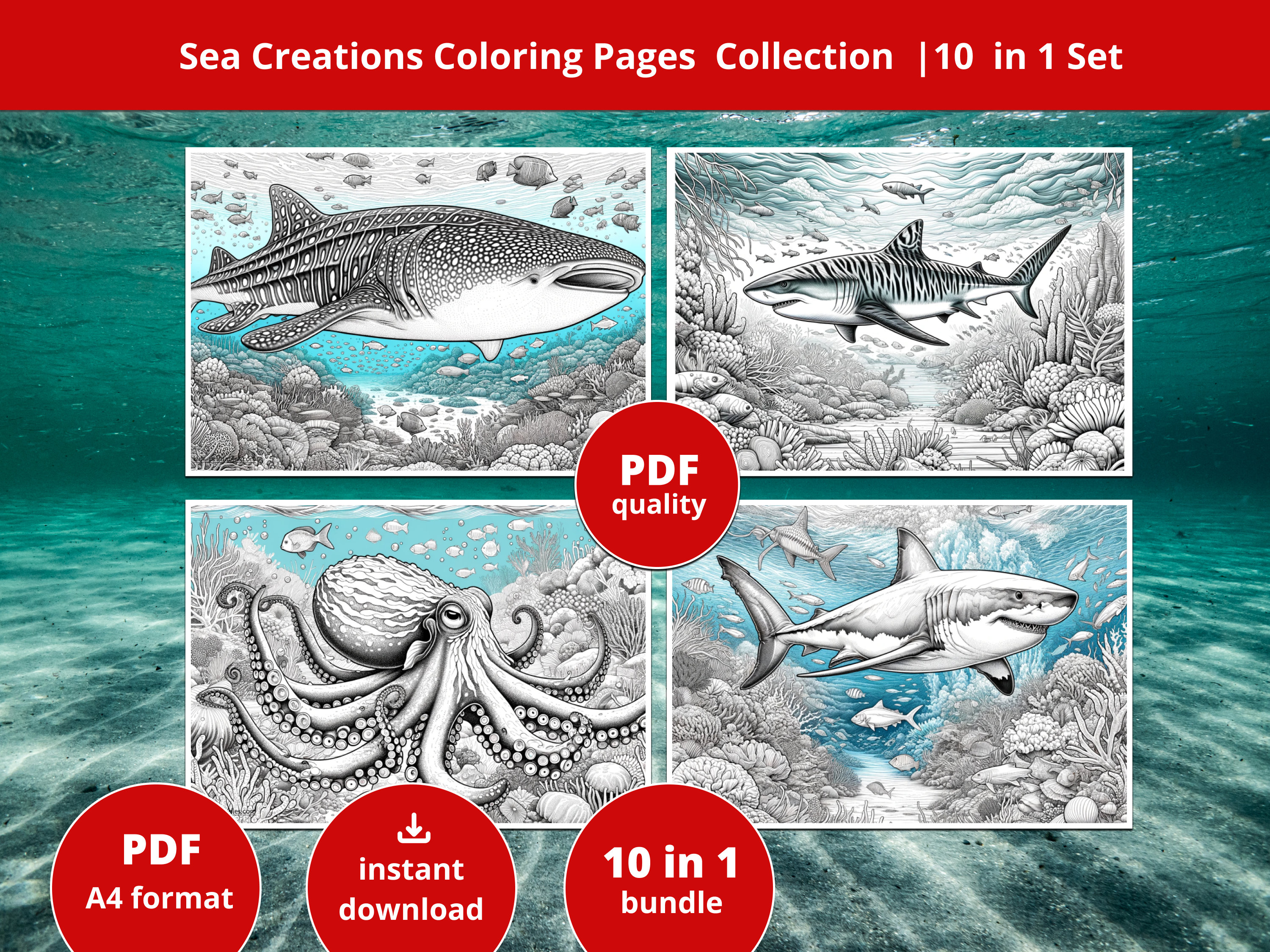 Sea Creations Coloring Pages Collection 10in 1 Bundle PDF Coloring ...