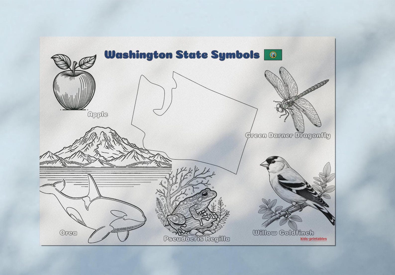 Washington State Symbols Art Print | Washington State Coloring Page ...