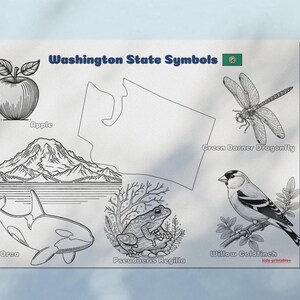 Washington State Symbols Art Print | Washington State Coloring Page ...