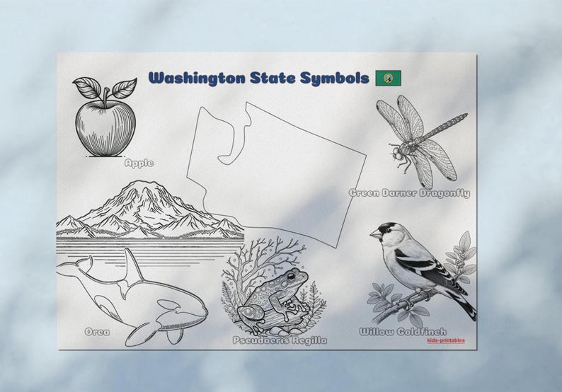 Washington State Symbols Art Print | Washington State Coloring Page ...