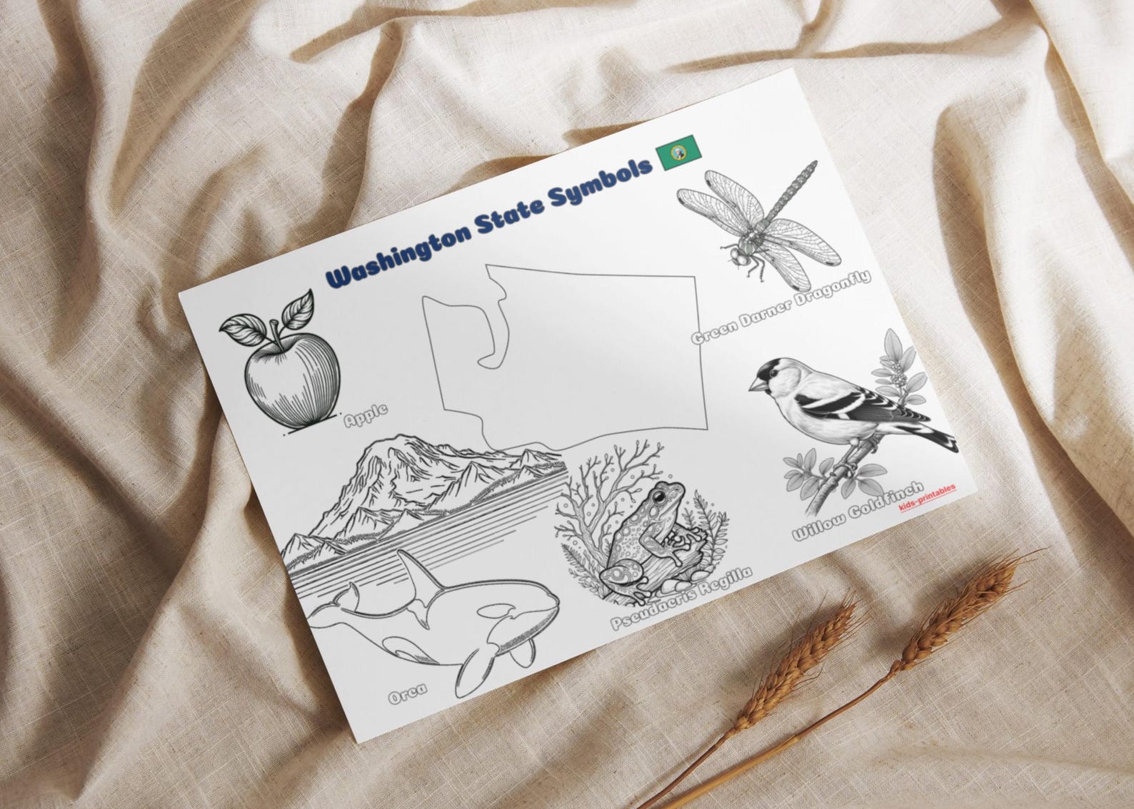 Washington State Symbols Art Print | Washington State Coloring Page ...