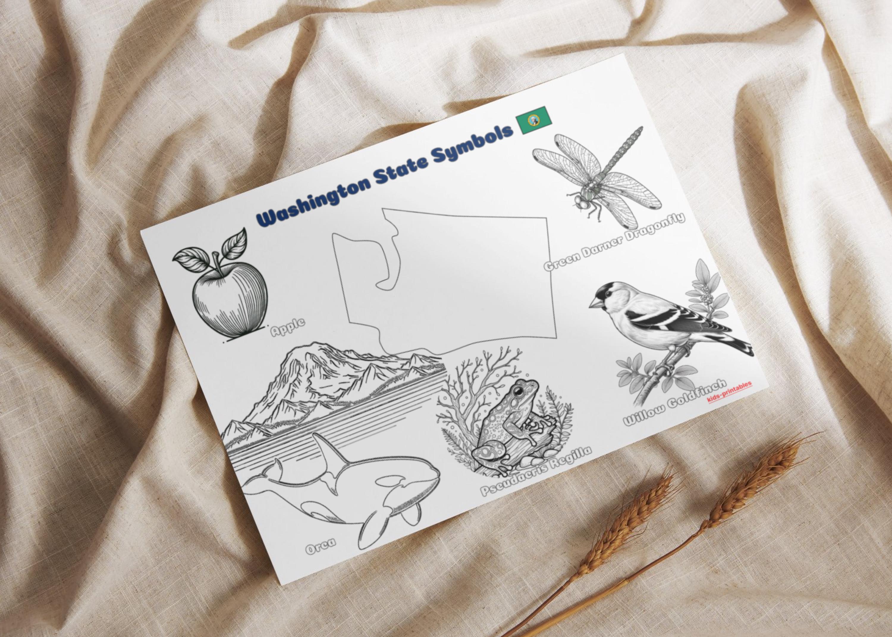 Washington State Symbols Art Print | Washington State Coloring Page ...