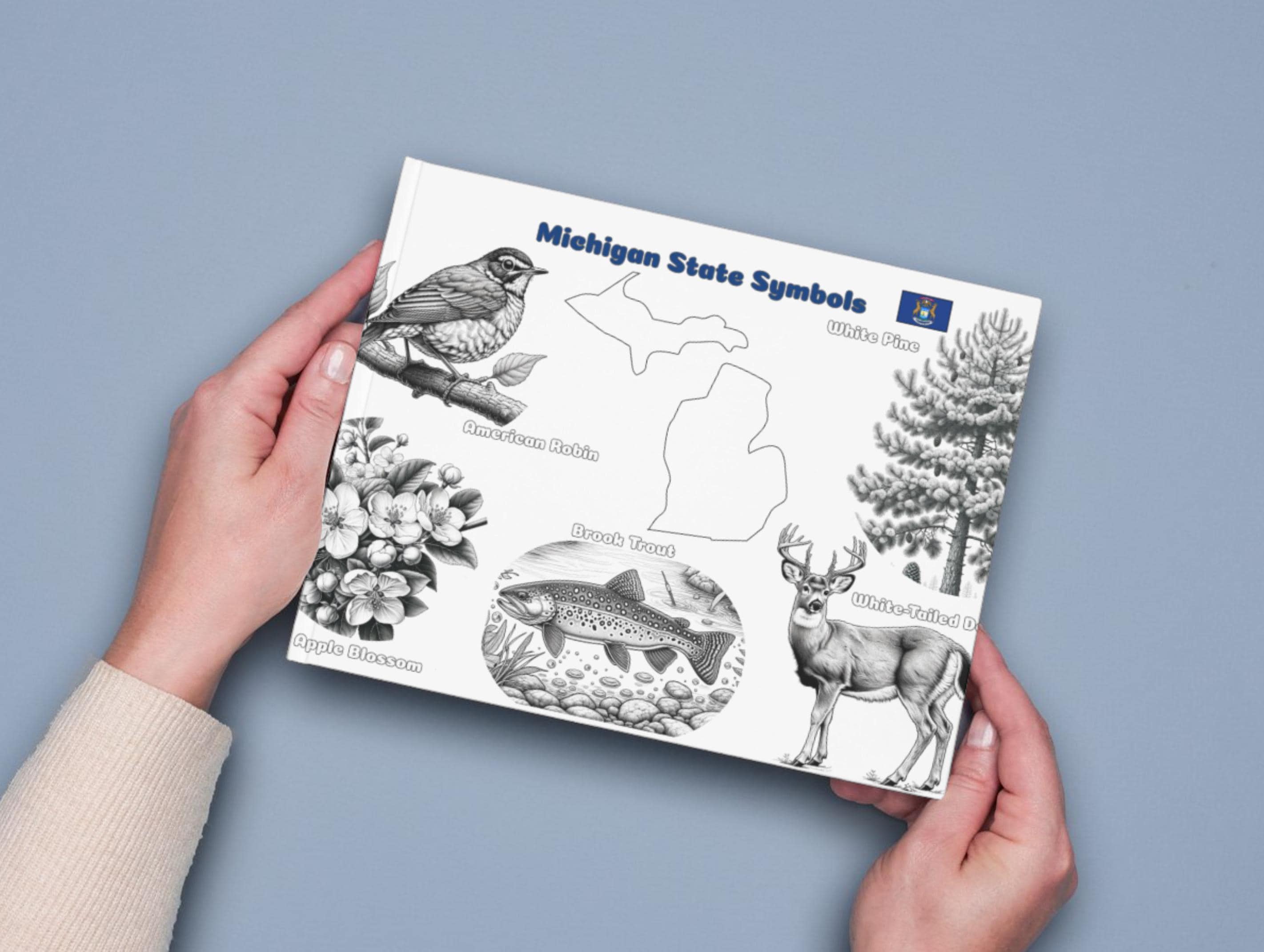 Michigan Coloring Page |united States Coloring| Michigan State Shape ...