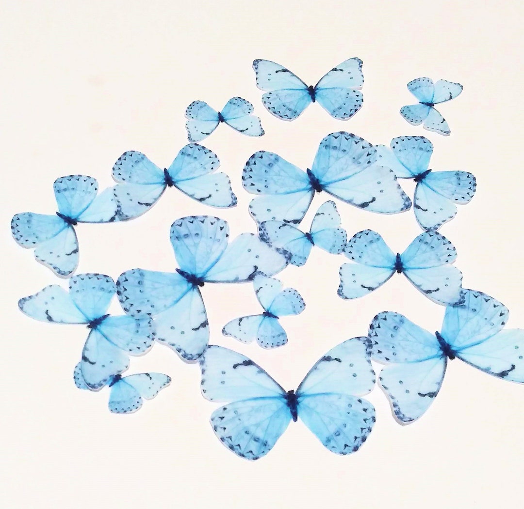 15 Wafer Paper Light Blue Butterflies. Edible Topper for Cake and ...