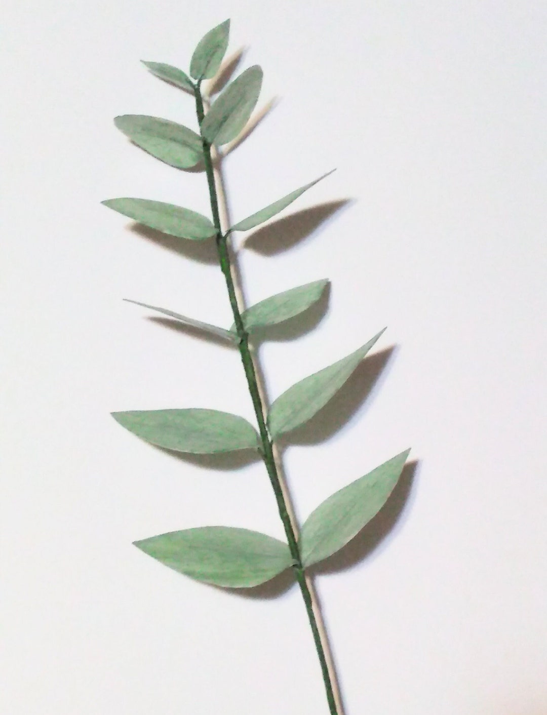 Eucalyptus Branch Wafer Paper Cake Topper. Sage Colored Eucalyptus ...