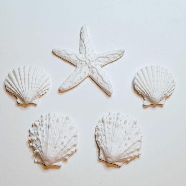 Seashell Cake Topper - Etsy