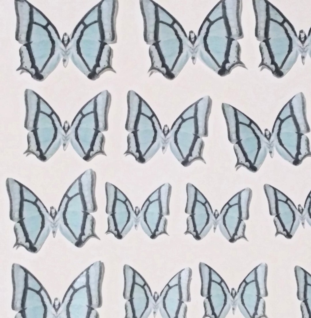 18 Light Blue Wafer Paper Butterflies. Precut. Edible Topper for Cake ...