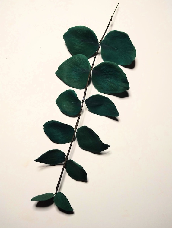 Edible Sugar Eucalyptus Branch. Fondant Gum Paste Leaves. | Etsy