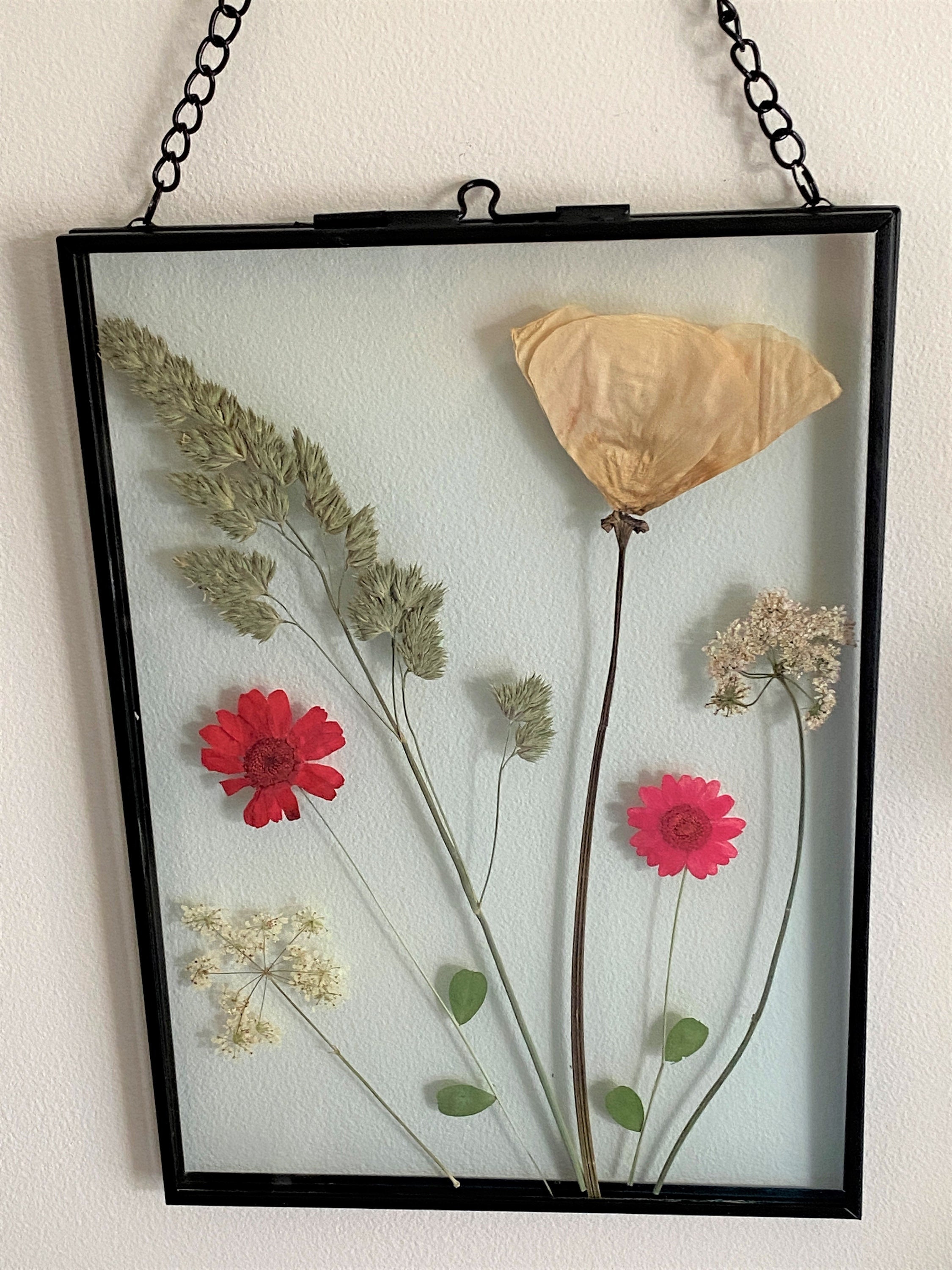 Botanical Glass Hanging Frame With Real Pressed Dried Wild - Etsy