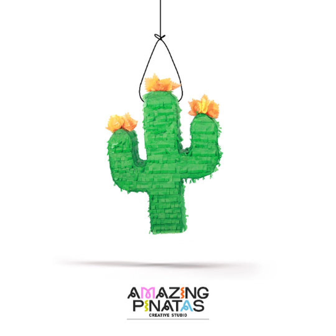 Cactus Pinata | Birthday Party - Etsy