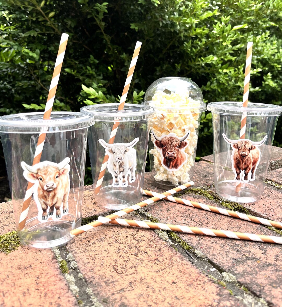 Highland Cows 16oz Plastic Cups for Popcorn or Liquid. - Etsy