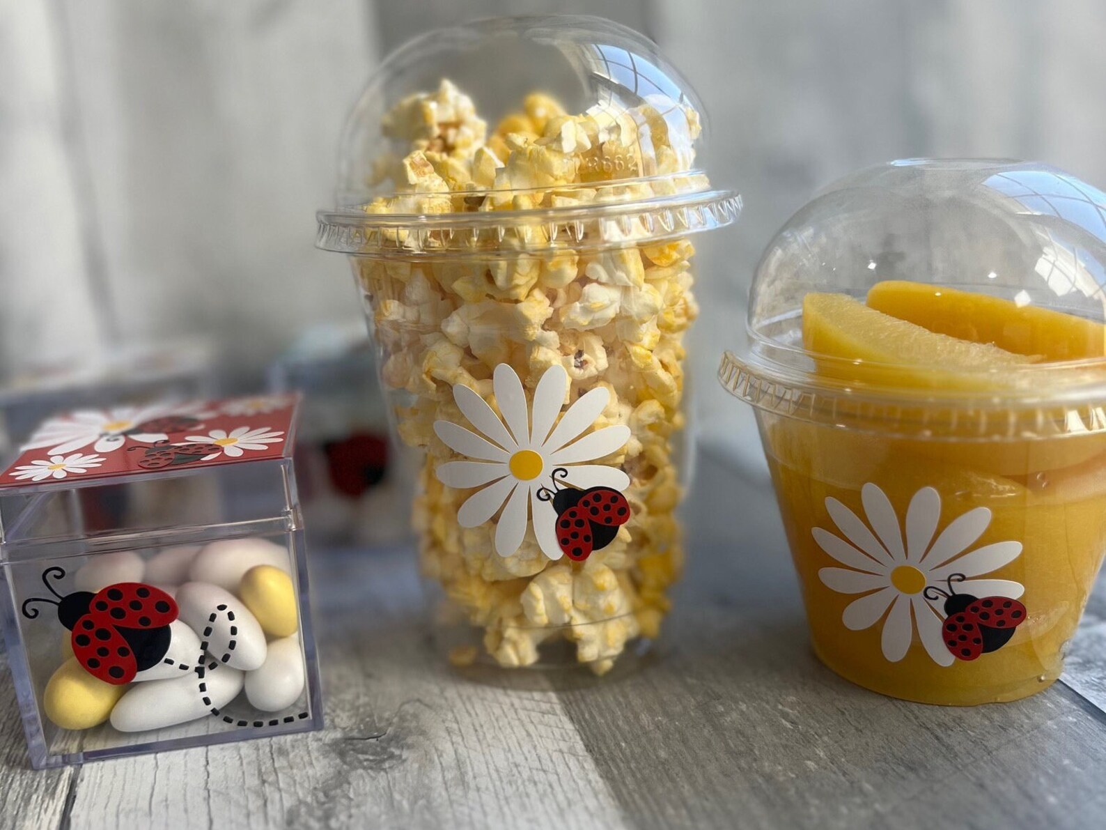 Lady Bug Party Popcorn Cup/lady Bug Disposable Cup/lady Bug Favor Cup ...