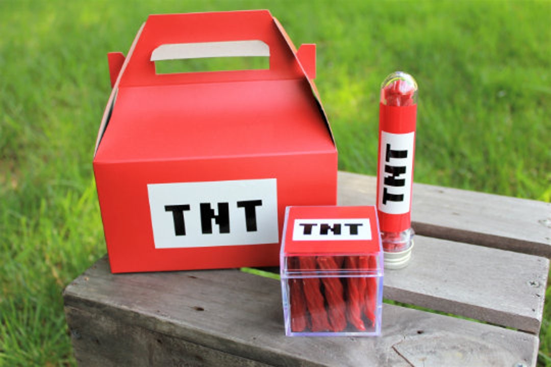 TNT Party Favor/gamer Goody Bag/video Game Party/gamer Party Favor/tnt ...