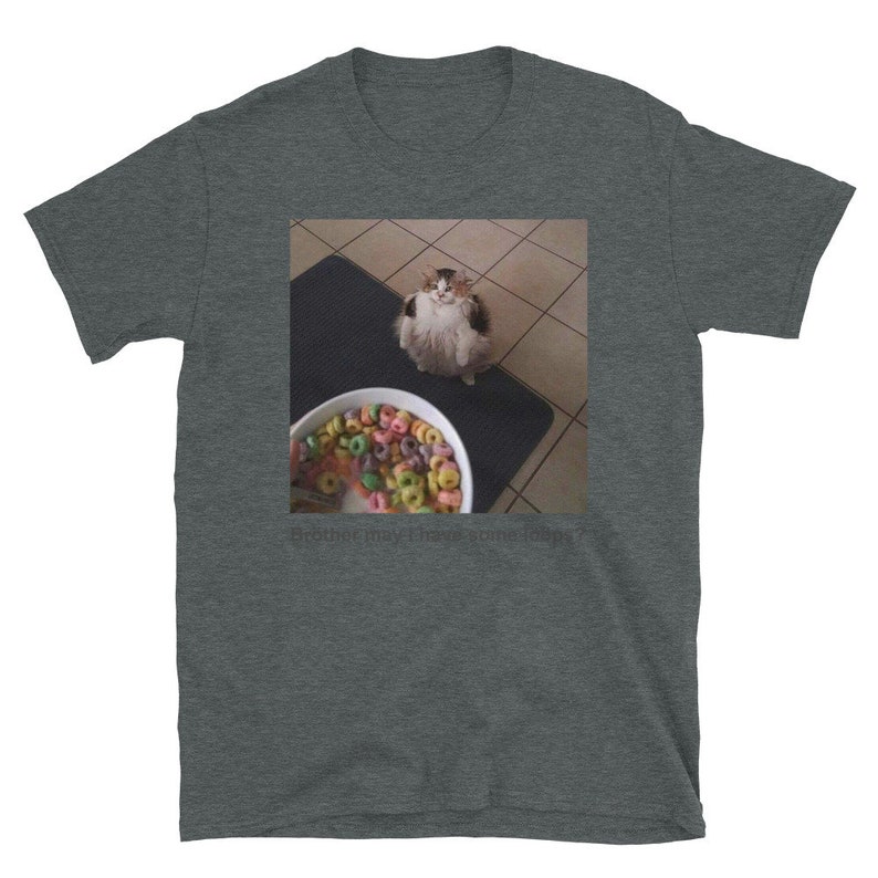 Loop Cat Loops Cat Meme brother May I Have Some - Etsy